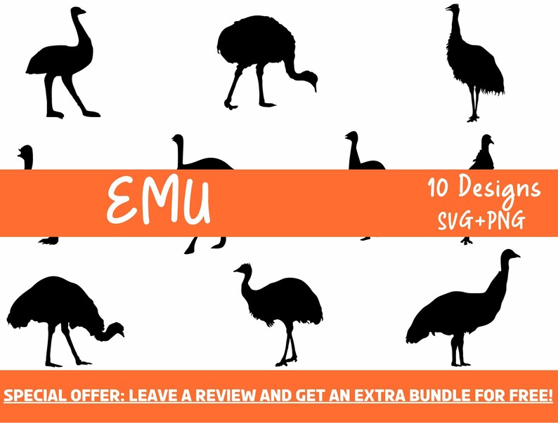 Emu Svg Cut Files Emu Vectors Svg Files for Cricut Zoo Svg - Etsy