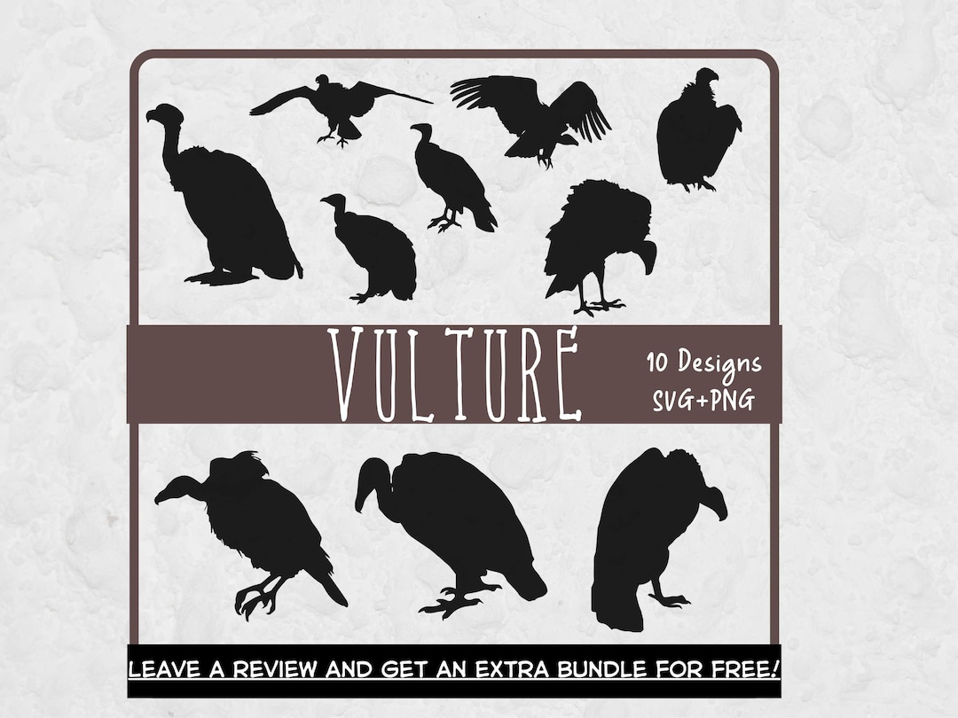 Vulture Svg Bundle, Svg Files for Cricut, Bird SVG, Birds of Prey ...