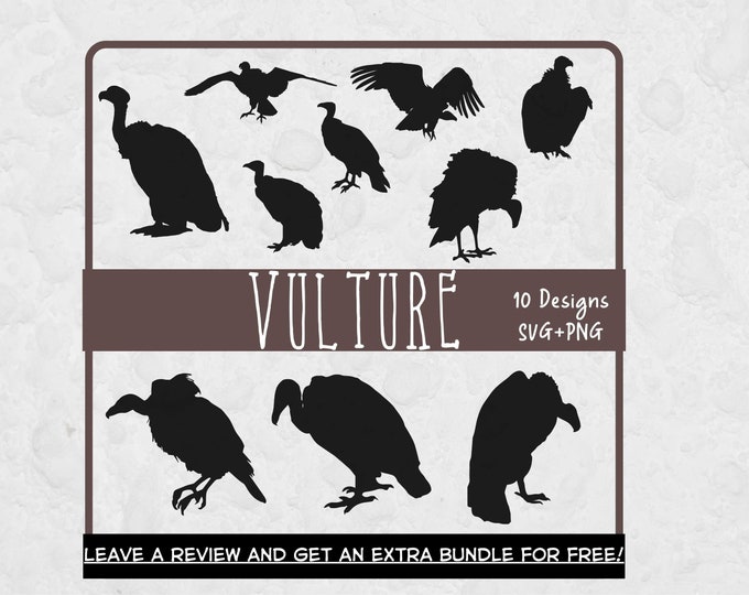 Vulture Svg Bundle, Svg Files for Cricut, Bird SVG, Birds of Prey ...