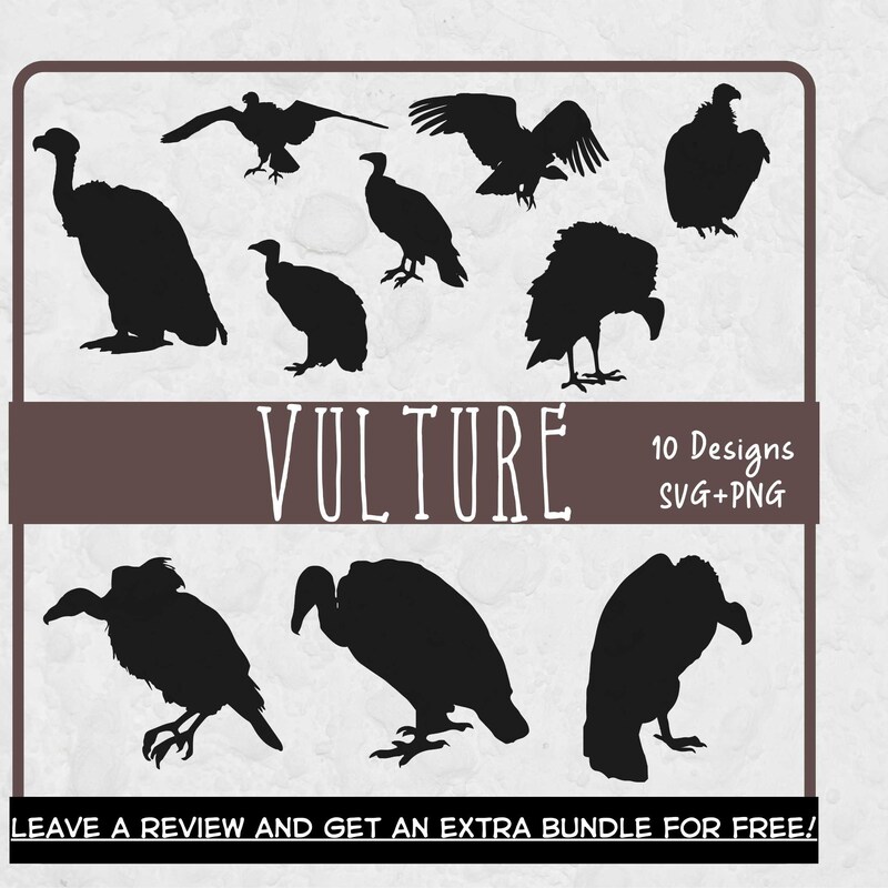Vulture Art - Etsy