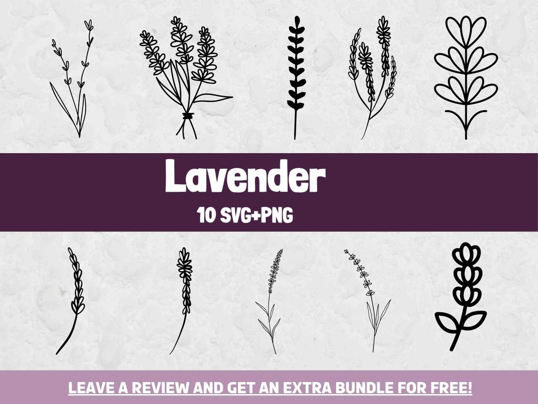 Lavender SVG, SVG Files for Cricut, Flower Clipart, Essential Oil ...