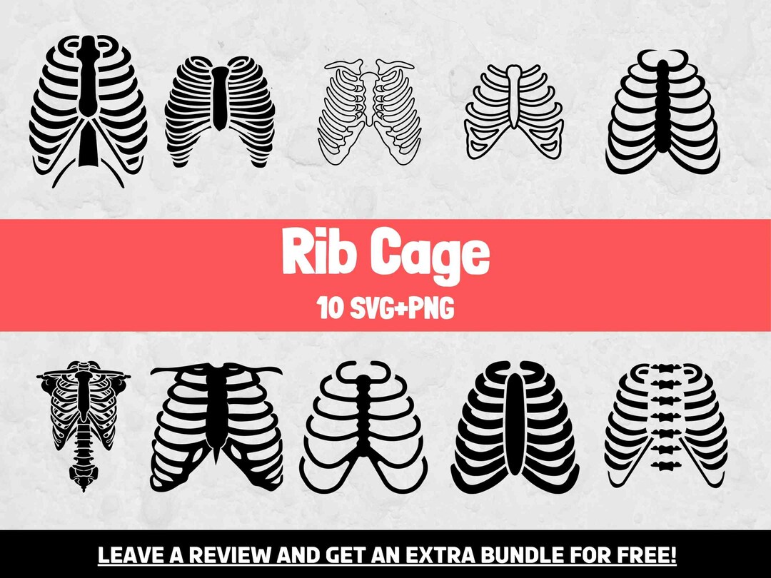 Rib Cage Svg Bundle, Svg Files for Cricut, Anatomy SVG, Medicine ...