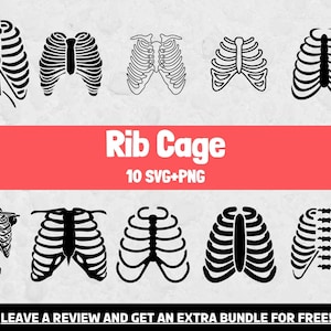 Rib Cage Svg Bundle, Svg Files for Cricut, Anatomy SVG, Medicine ...