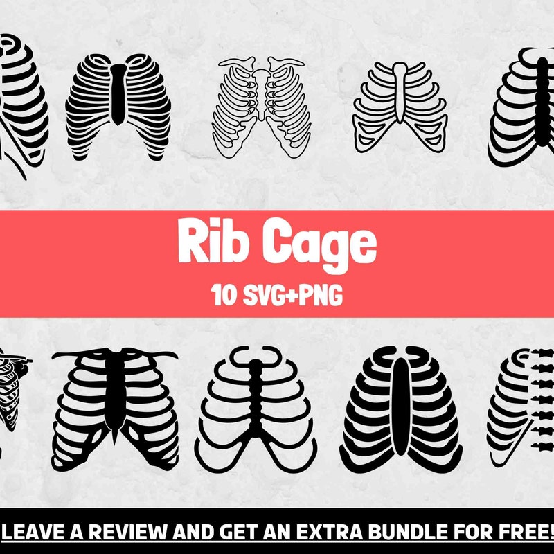 Rib Cage - Etsy