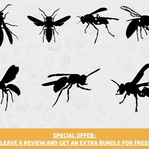 Wasp SVG, Svg Files for Cricut, Wasp Silhouette, Insect SVG, Insect ...