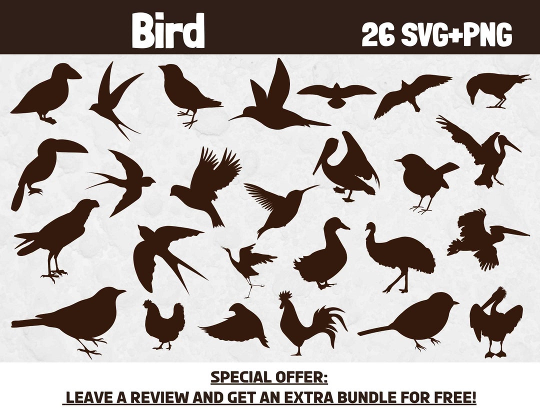 Bird Svg Bundle SVG Files for Cricut Commercial Use SVG - Etsy