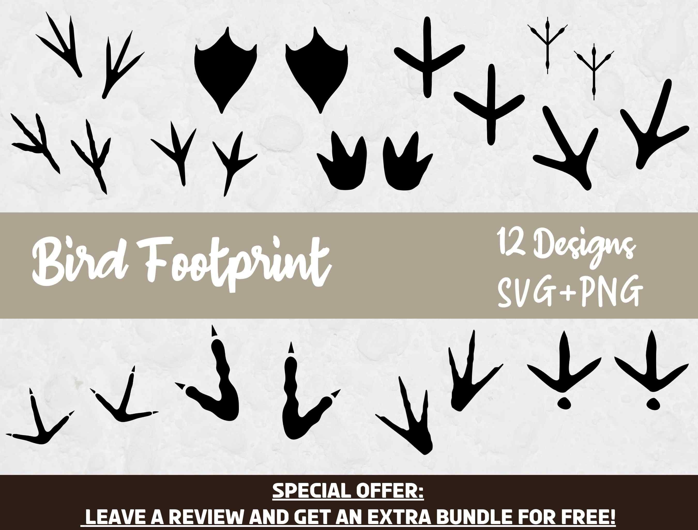 Bird Footprint