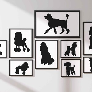 Poodle Svg Bundle, SVG Files for Cricut, Poodle PNG, Dog Silhouette ...