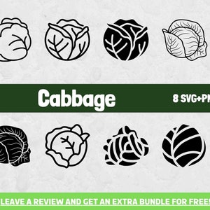 Cabbage SVG Bundle, SVG Files for Cricut, Garden Clipart, Vegetable Svg ...