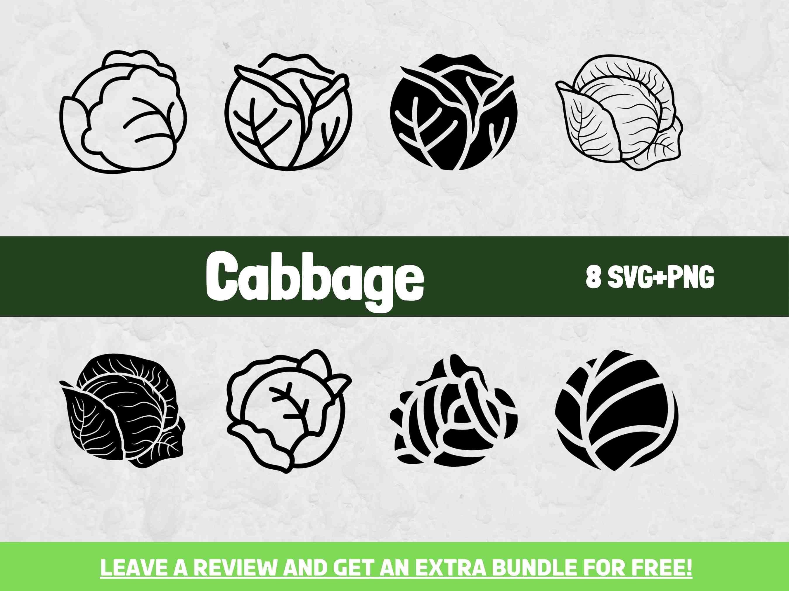 Cabbage SVG Bundle, SVG Files for Cricut, Garden Clipart, Vegetable Svg ...