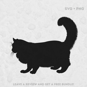 Maine Coon SVG, SVG Files for Cricut, Cat Svg, Cat Clipart, Maine Coon ...