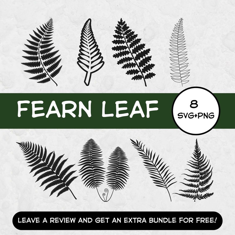 Fern Svg - Etsy