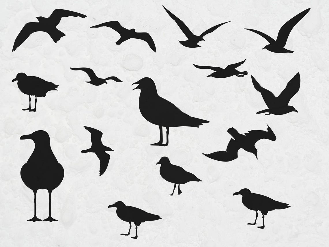 Seagull SVG Bundle, Seagull Silhouette SVG, Coastal Bird Clipart ...