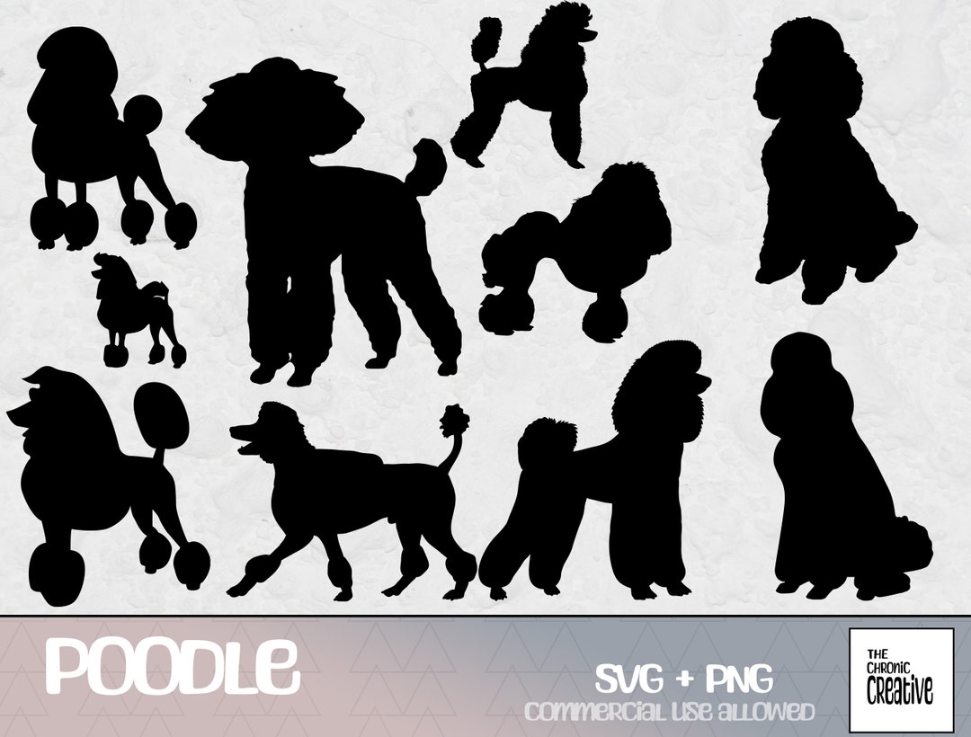 Poodle Svg Bundle SVG Files for Cricut Dog Lover Dog SVG - Etsy
