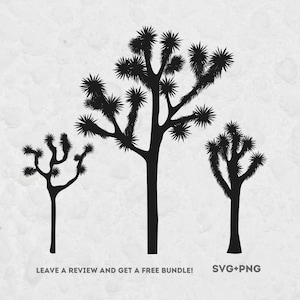 Joshua Tree PNG Bundle, SVG Tree, Tree Clipart, Tree Svg, Joshua Tree ...