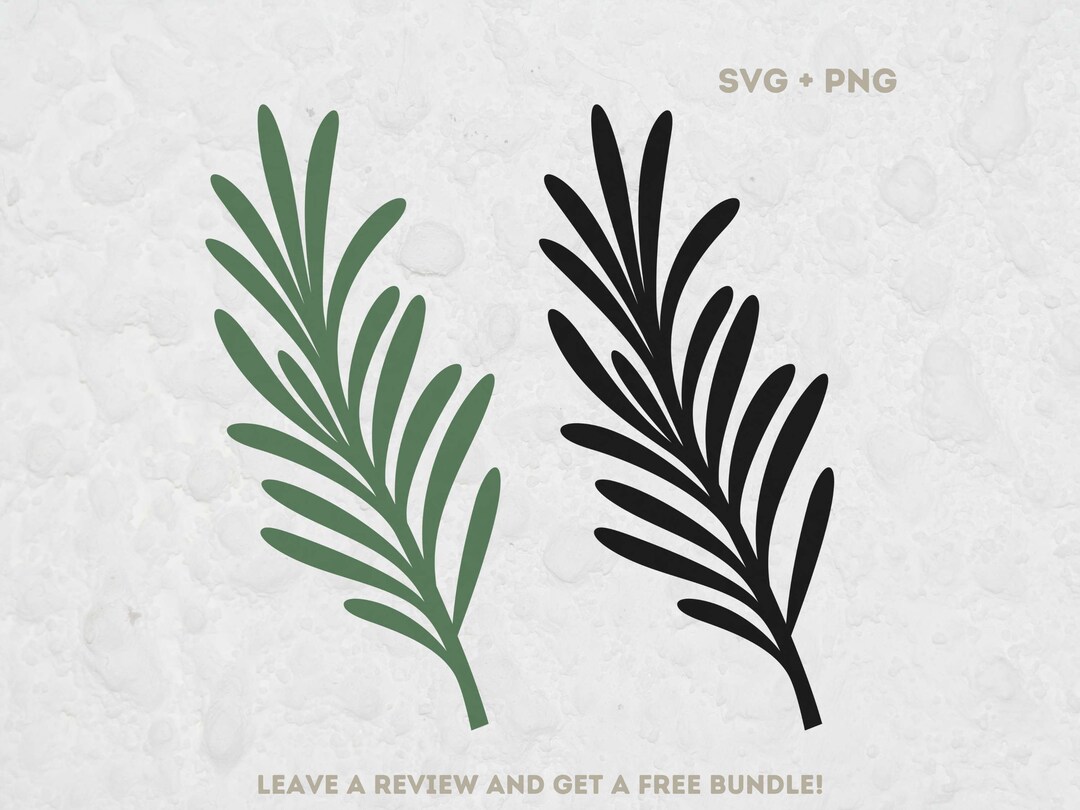 Rosemary SVG, SVG Files for Cricut, Plant Svg, Herb SVG, Rosemary Png ...