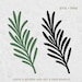 Rosemary SVG, SVG Files for Cricut, Plant Svg, Herb SVG, Rosemary Png ...