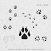 Fox Tracks SVG Bundle, Animal Footprints, Woodland Paw Prints, Forest ...