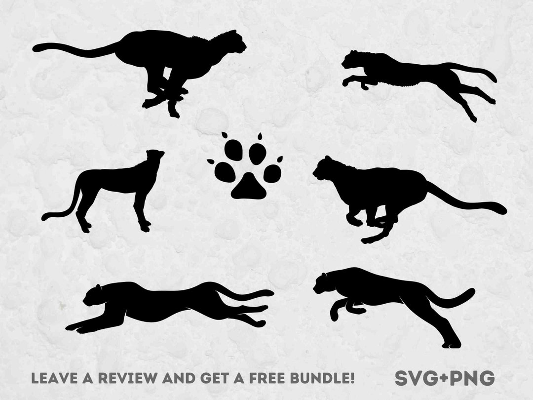 Cheetah Svg, Svg Files for Cricut, Zoo Svg, Nature Svg, Big Cat Animal ...