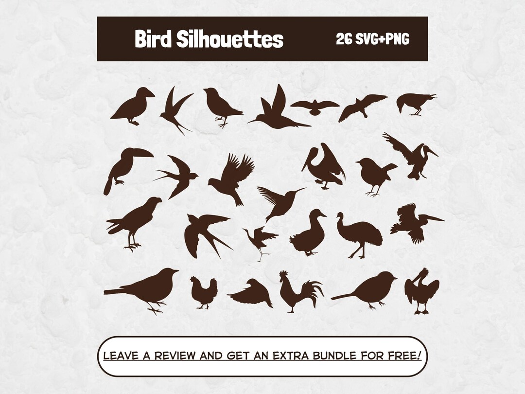 Bird Svg Bundle, SVG Files for Cricut, Bird Clipart Image, Bird ...