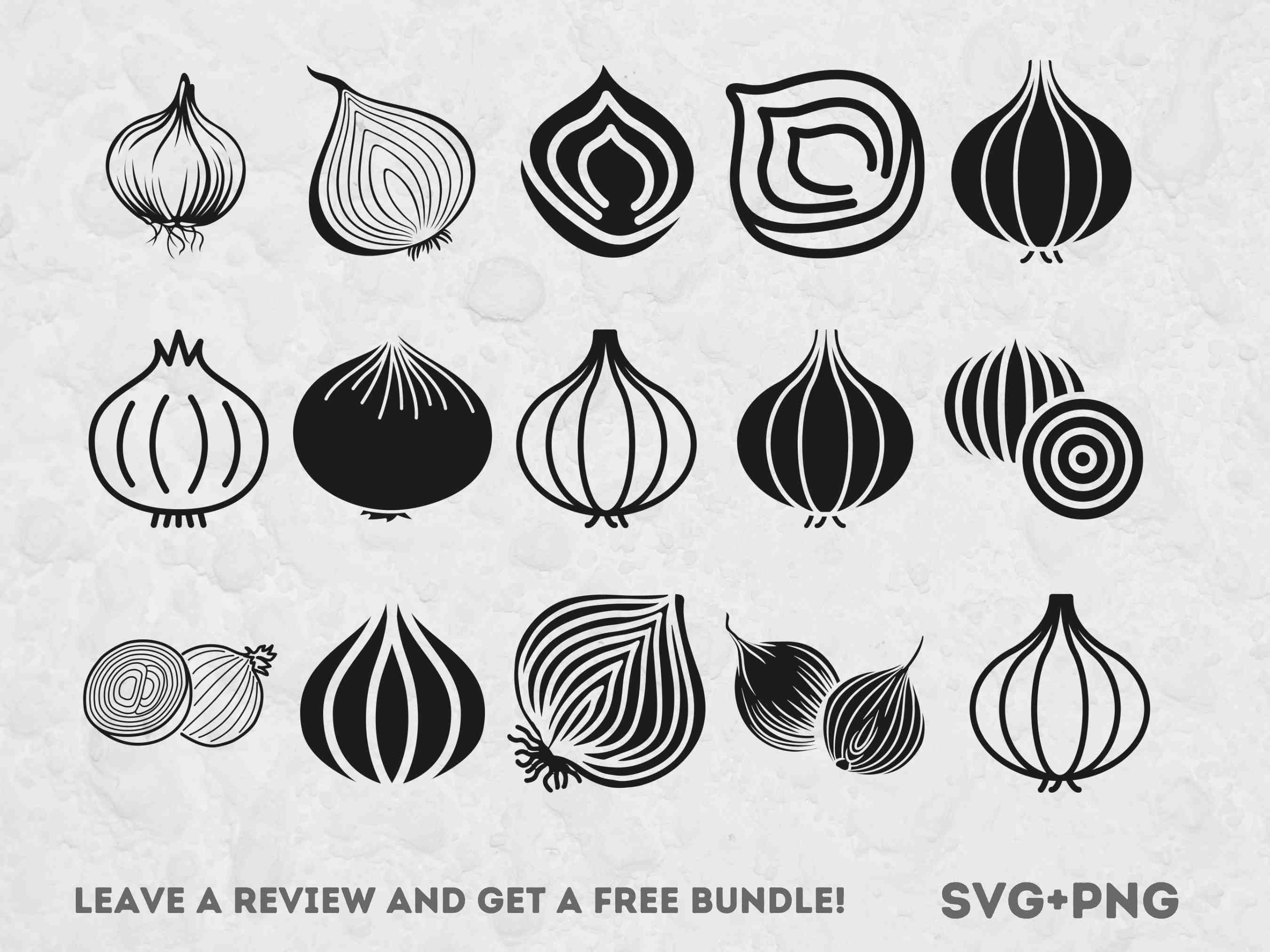 Cebolla SVG Archivos SVG para Cricut Cebolla clipart - Etsy España