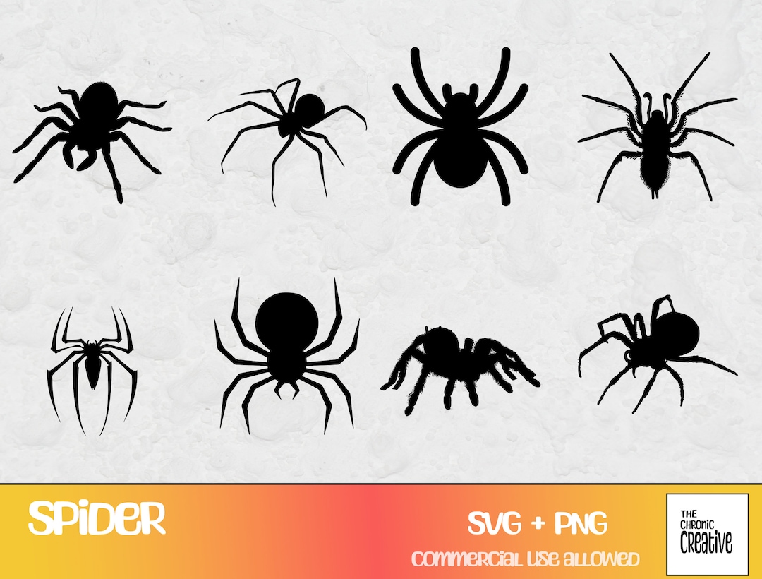 Spider Svg Bundle Svg Files for Cricut Commercial Use SVG - Etsy
