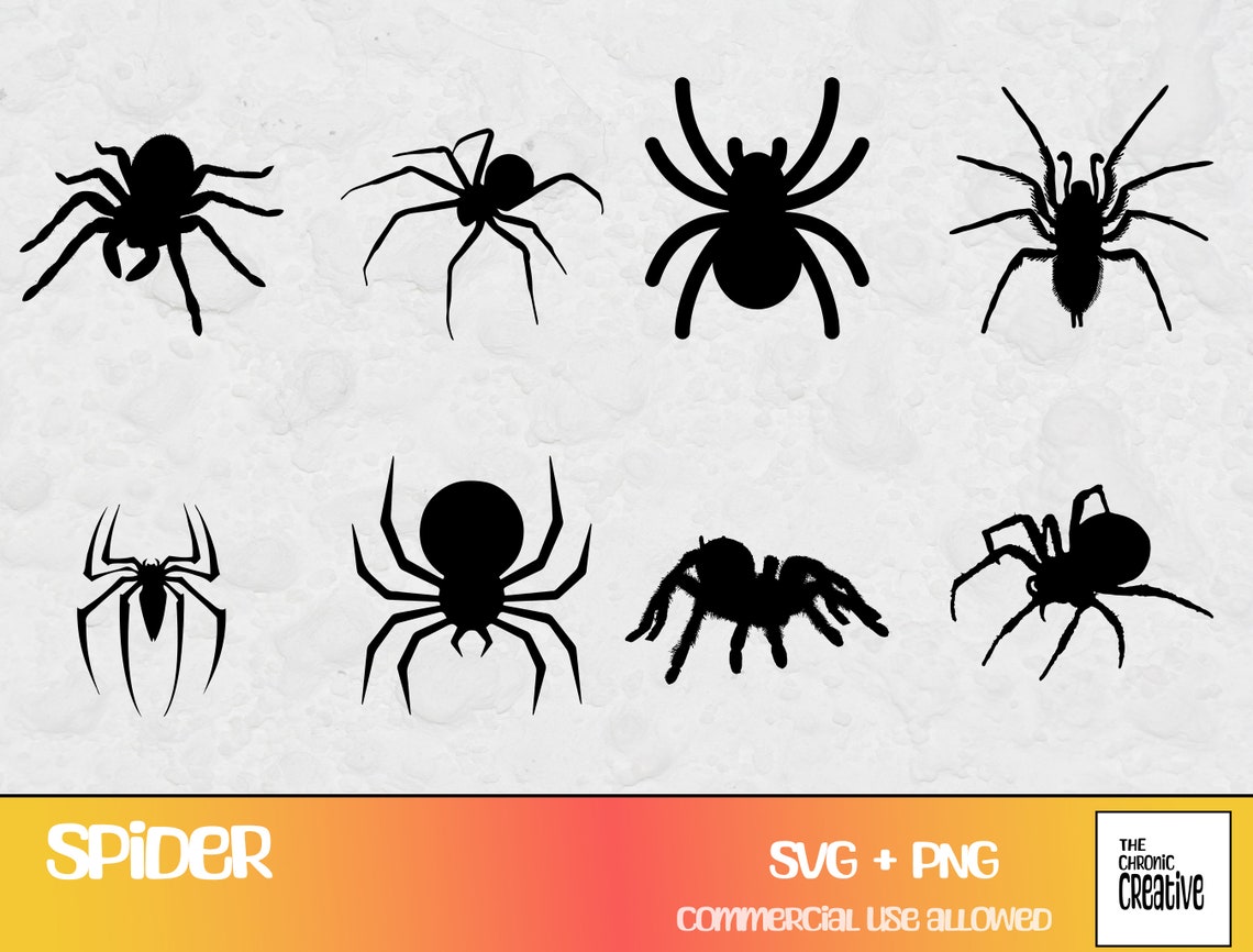 Spider Svg Bundle Svg Files for Cricut Commercial Use SVG - Etsy