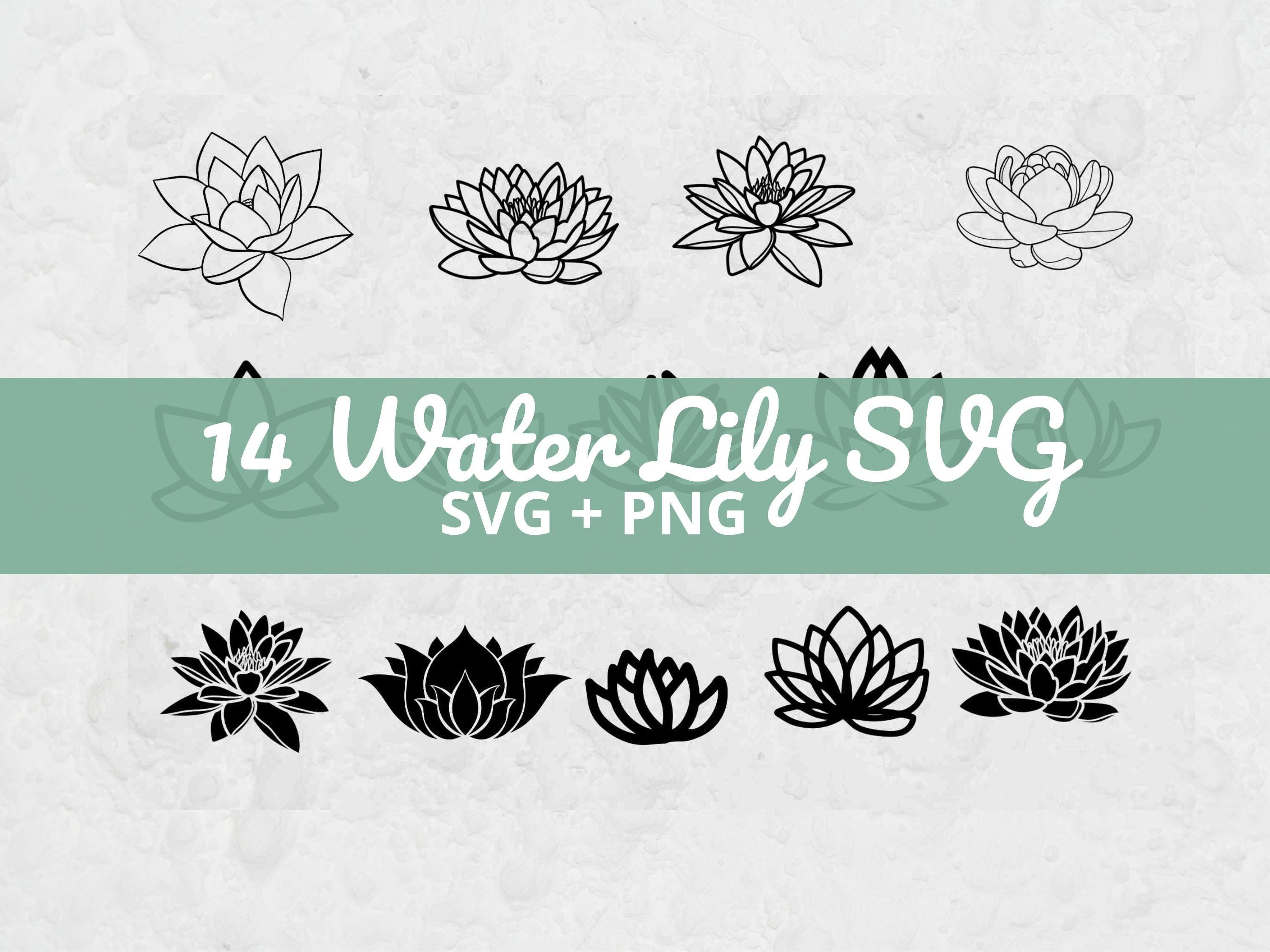 Water Lily SVG, SVG Files for Cricut, Flower Clipart, Flowers SVG ...