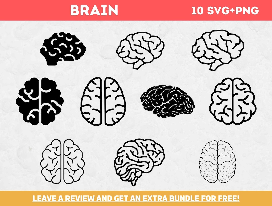 Brain Svg, Svg Files for Cricut, Brain Vector, Medicine Clipart, Brain ...