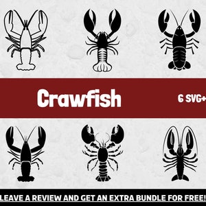 Crawfish Svg Bundle, SVG Files for Cricut, Nautical Svg, Seafood ...