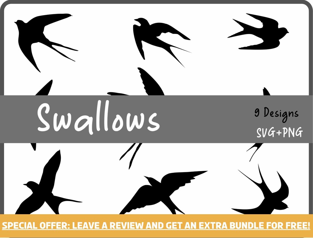 Swallow Svg Bundle Svg Files for Cricut Swallows Svg Bird - Etsy
