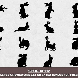 Rabbit SVG Bundle, Rabbit Cut Files, Rabbit Vectors, Rabbit Clipart ...