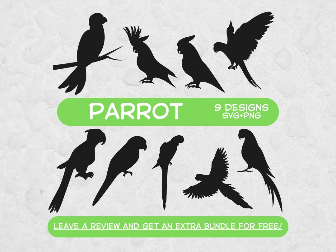 Parrot Svg Bundle, SVG Files for Cricut, Tropical Bird, Parrot Clipart ...