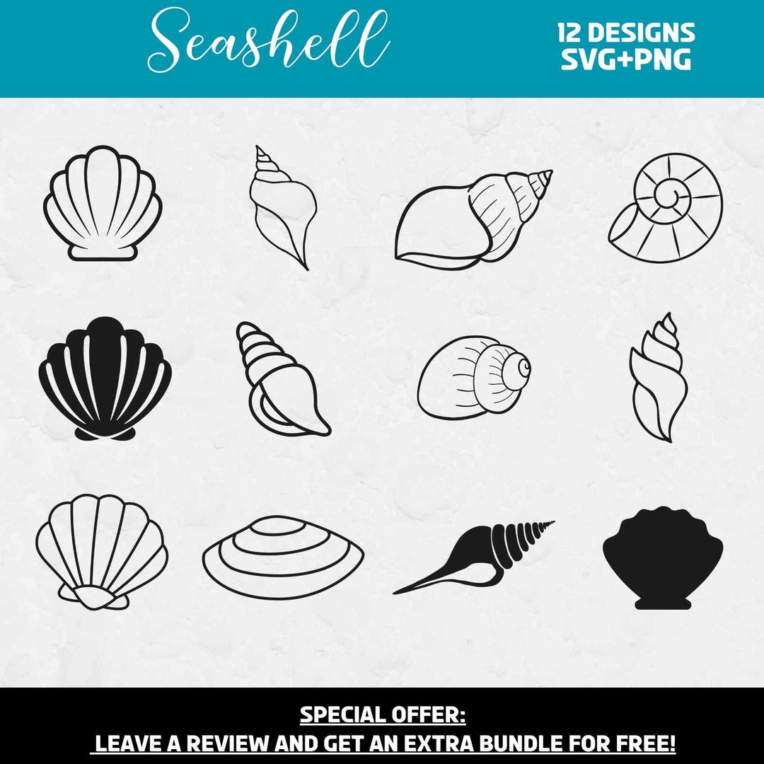 Seashell SVG, Svg Files for Cricut, Seashell Clipart, Beach SVG ...