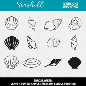 Seashell SVG, Svg Files for Cricut, Seashell Clipart, Beach SVG ...
