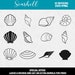 Seashell SVG, Svg Files for Cricut, Seashell Clipart, Beach SVG ...