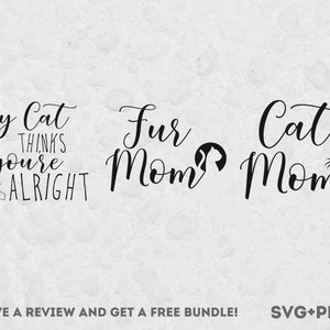 Cats Svg, Svg Files for Cricut, Cat Quotes Svg, Cat SVG, Funny Cat Svg ...