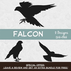 Falcon Svg Bundle, Svg Files for Cricut, Falcon Silhouette, Falcon ...