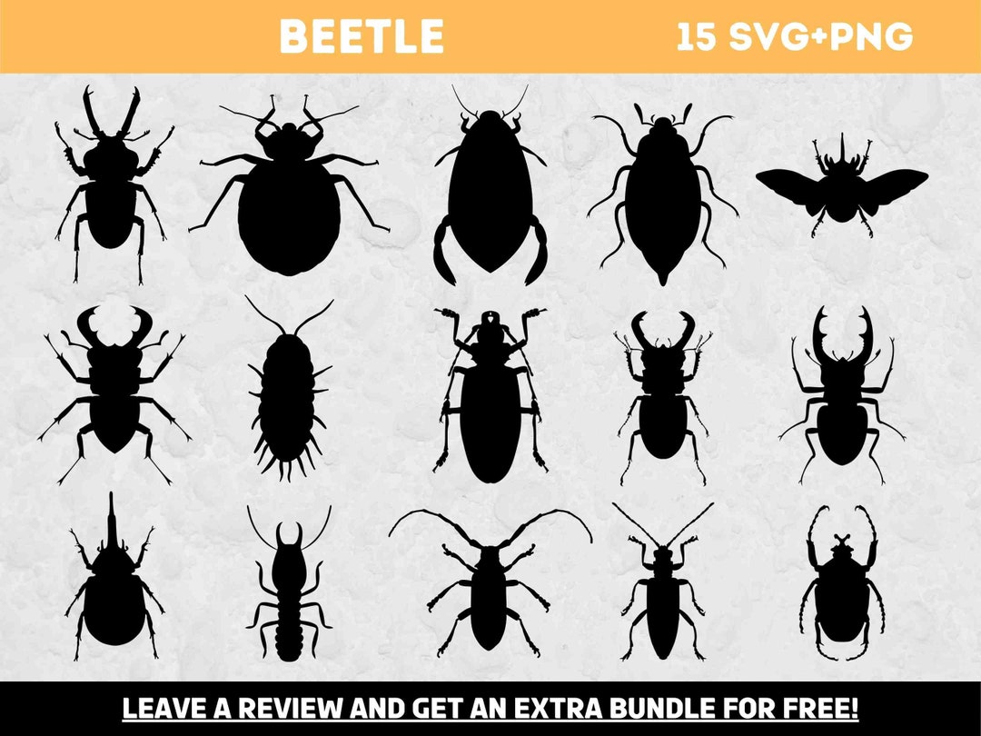 Beetle Svg Svg Files for Cricut Insect Svg Beetle Clipart - Etsy