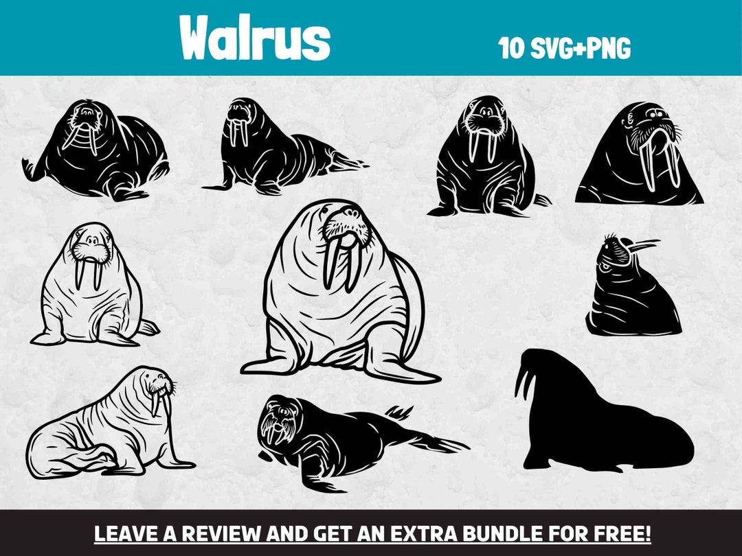 Walrus Svg, SVG Files for Cricut, Sea Creature Svg, Ocean Svg, Sea Life ...