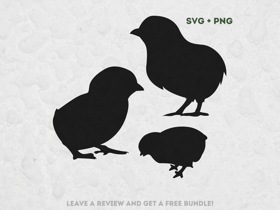Baby Chick Svg, SVG Files for Cricut, Chick Silhouette, Bird SVG, Chick ...