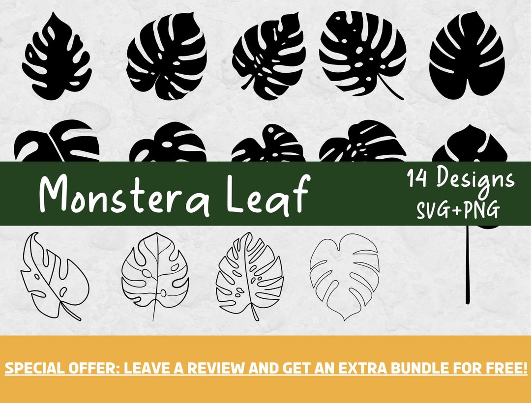 Monstera Svg Bundle Svg Files for Cricut Plant Lover - Etsy