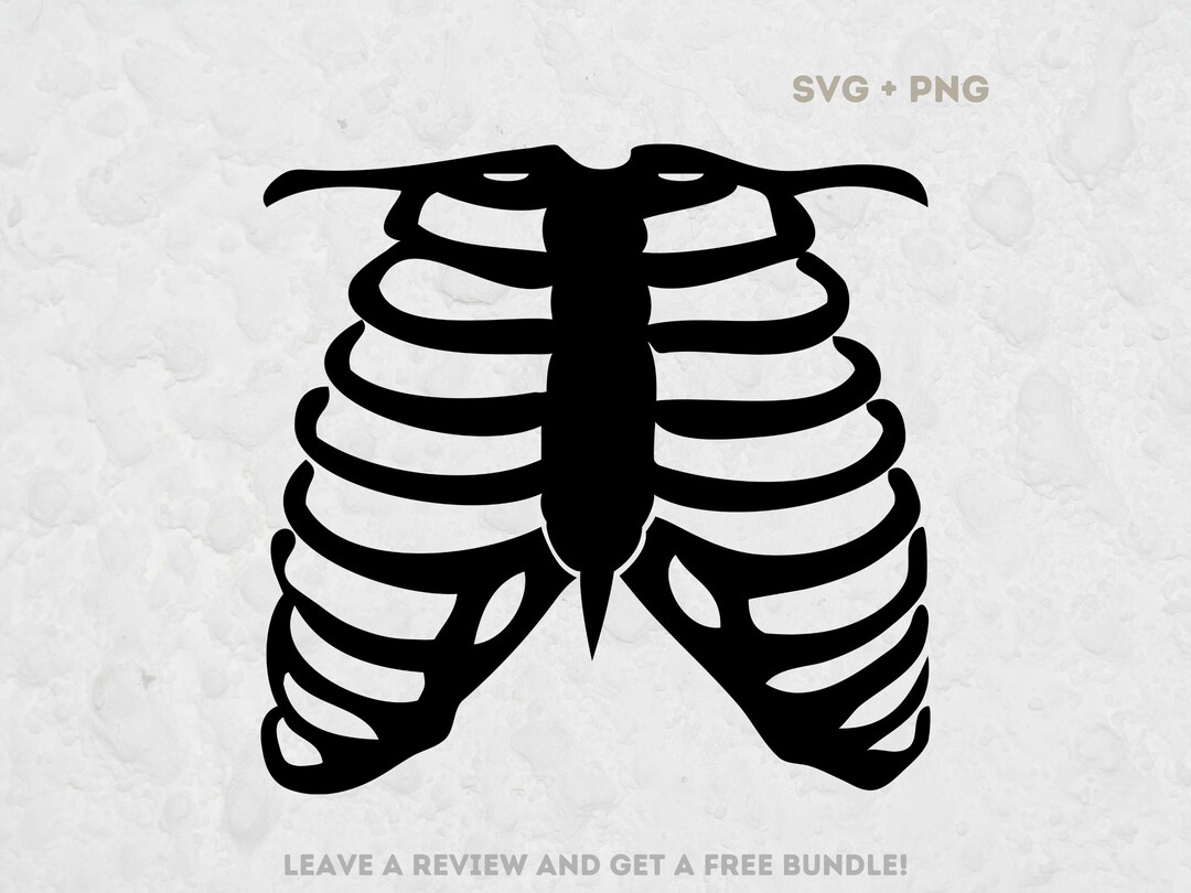 Rib Cage Svg, Svg Files for Cricut, Anatomy SVG, Body Clipart, Ribs SVG ...