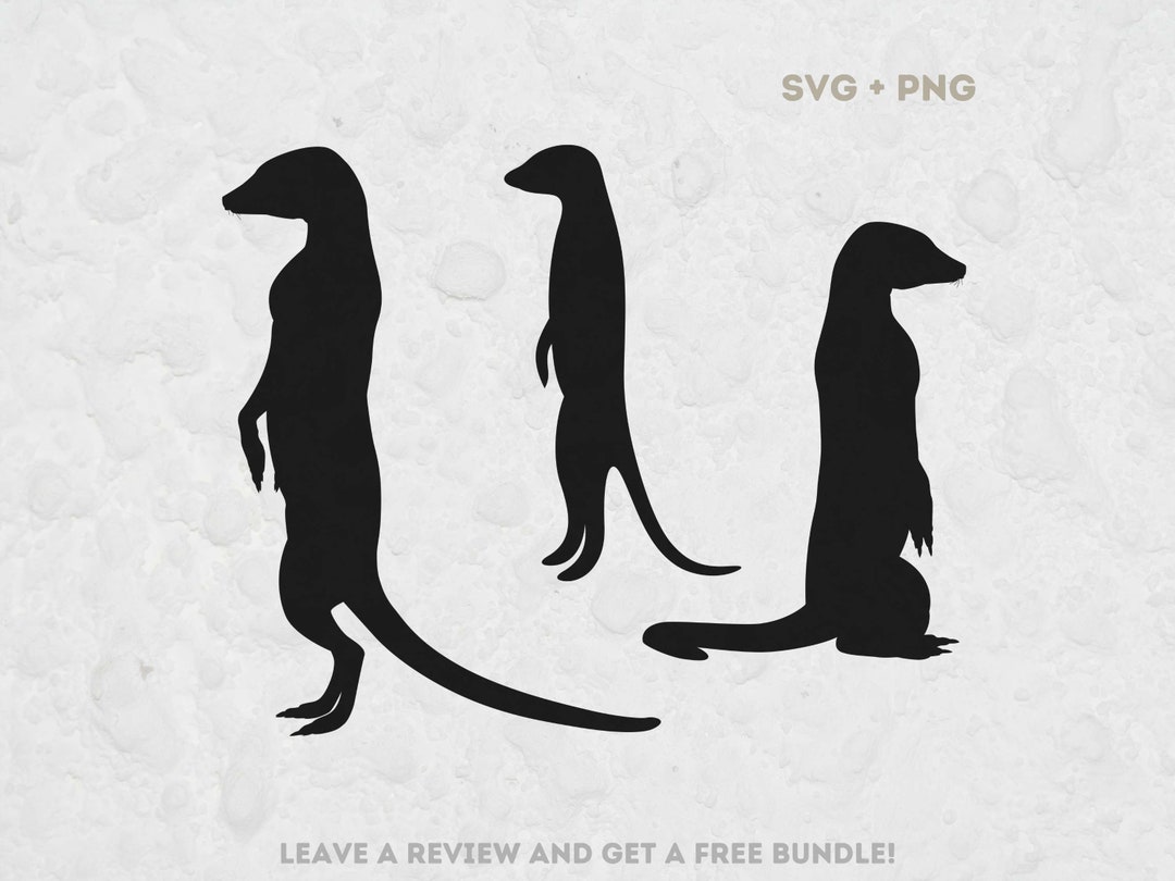 Meerkat Svg, Svg Files for Cricut, Zoo Svg, Suricate Svg, Meerkat ...