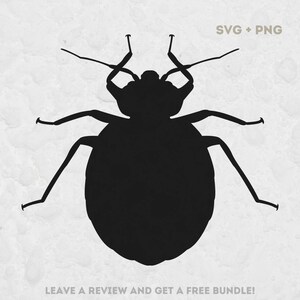 Beetle Svg, Svg Files for Cricut, Insect Svg, Beetle Clipart, Beetle ...