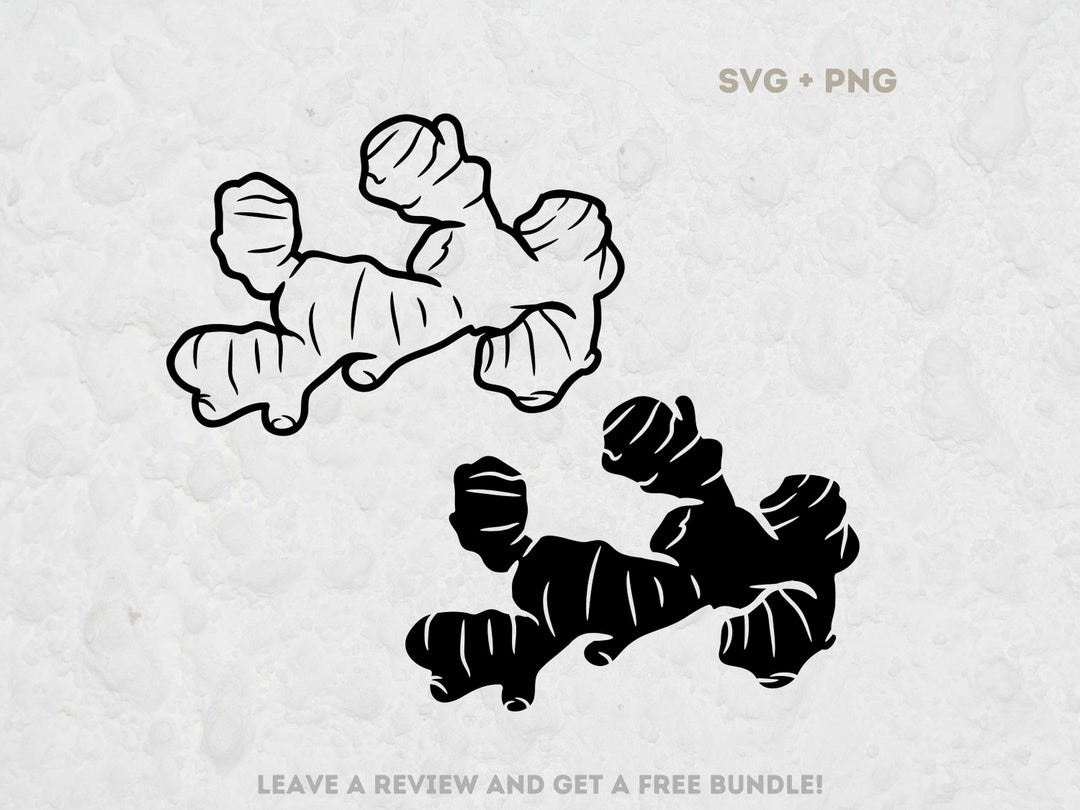 Ginger SVG, Svg for Cricut, Ginger Cut File, Spice Svg, Ginger ...