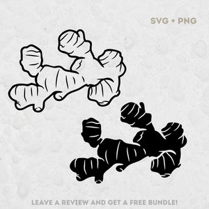 Ginger SVG, Svg for Cricut, Ginger Cut File, Spice Svg, Ginger ...