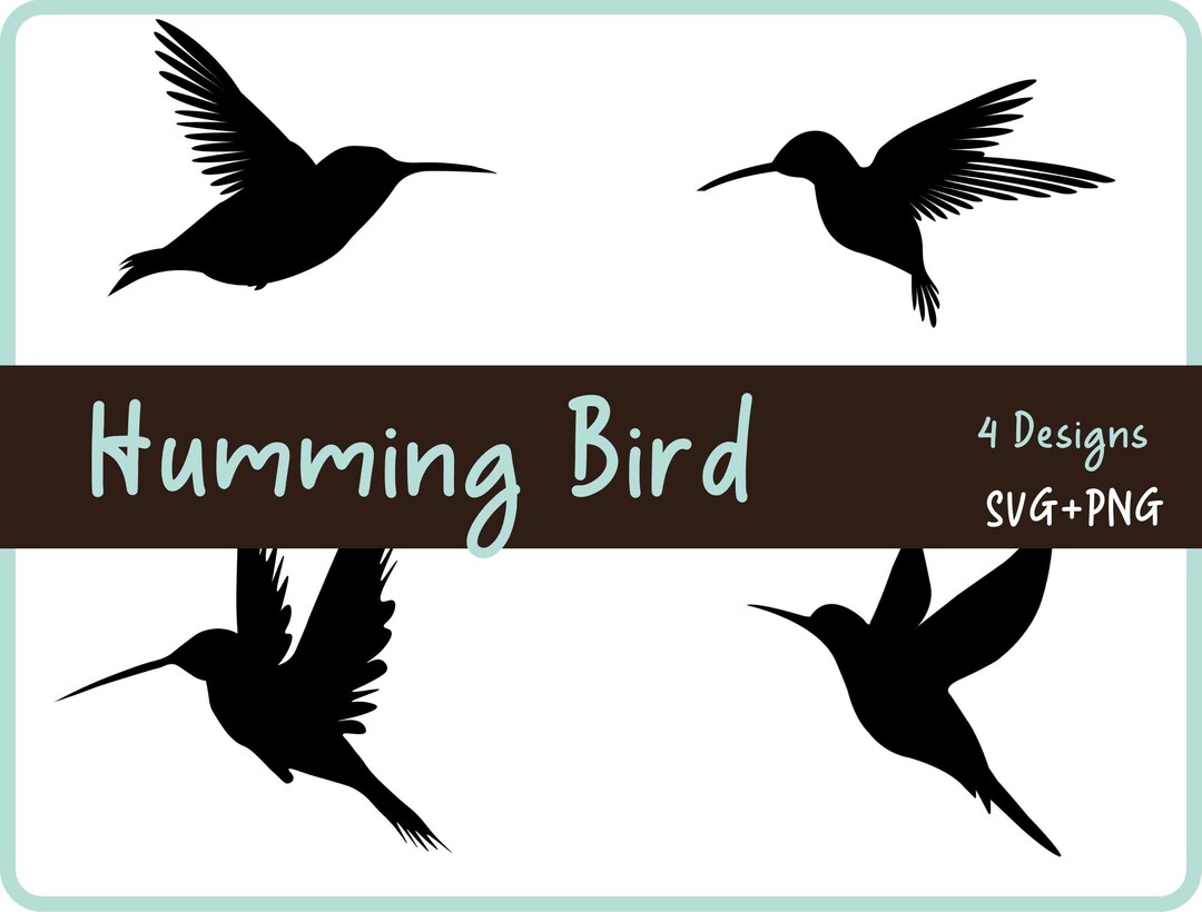 Hummingbird Svg Bundle Svg Files for Cricut Tropical Bird - Etsy