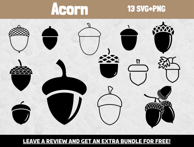 Acorn SVG Bundle SVG Files for Cricut Acorn Clipart Nature - Etsy