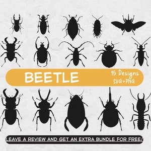 Beetle Svg, Svg Files for Cricut, Insect Svg, Beetle Clipart Image ...